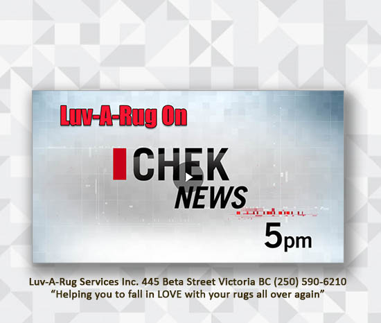 Luv-A-Rug on CHEK News | Interview About Our Bird Feeder Fundraiser